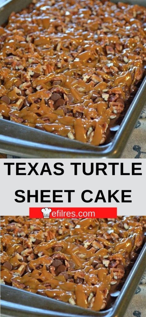TEXAS TURTLE SHEET CAKE